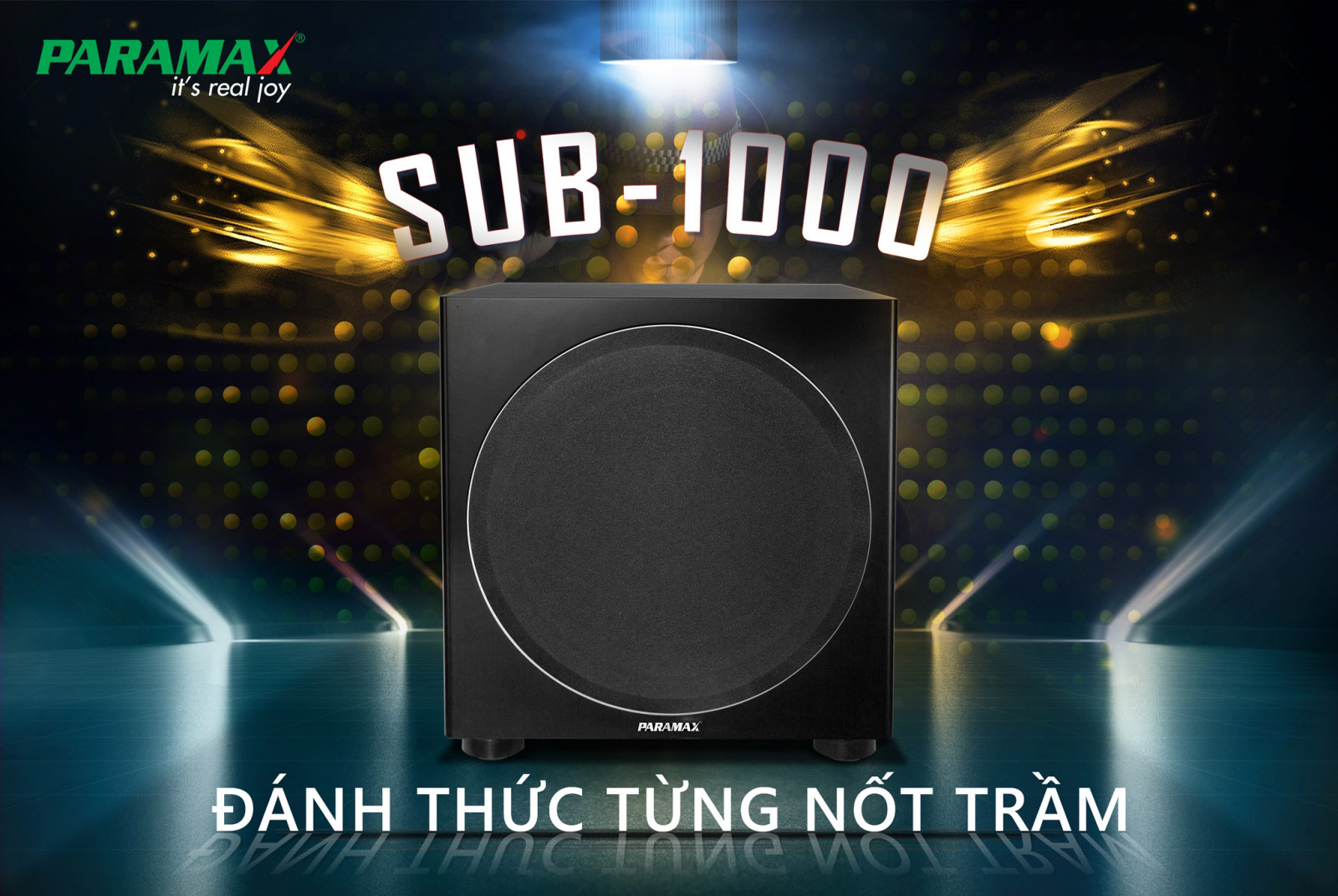 Loa sub karaoke PARAMAX SUB-1000 | SAIGON HD